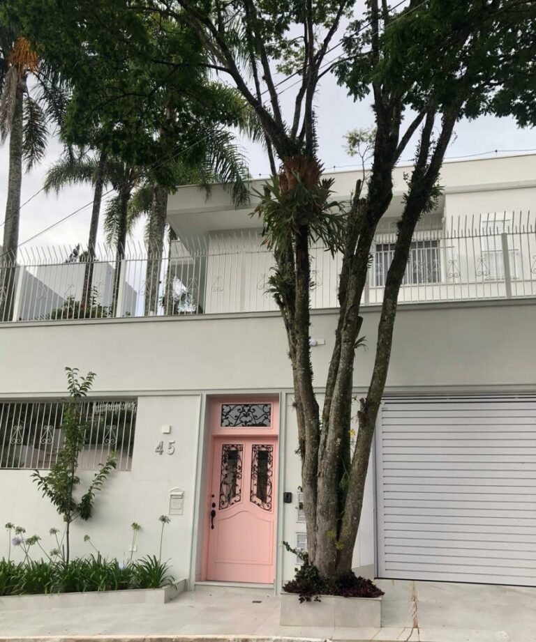 Porta especial com grades de ferro colonial e pintura laca rosa ...